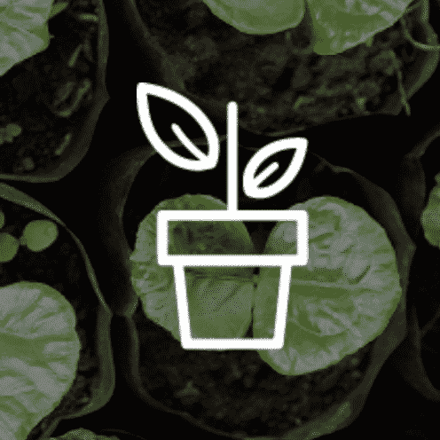 Sustainable Cup Project - French Market Coffee